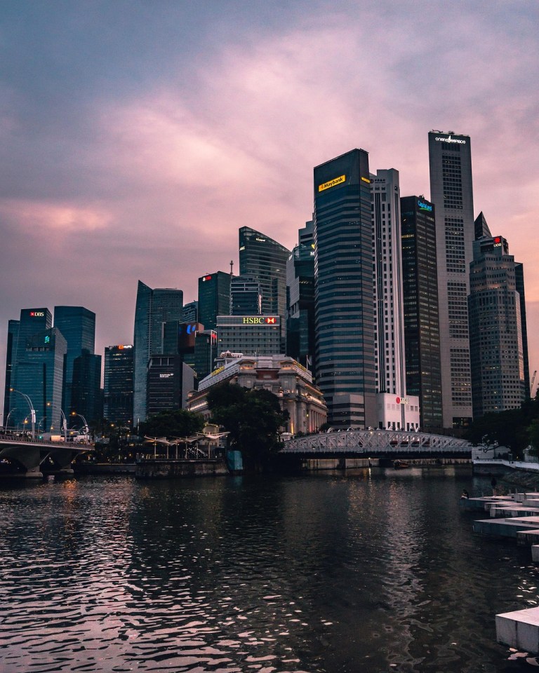 Our Story – Zenyte Holdings